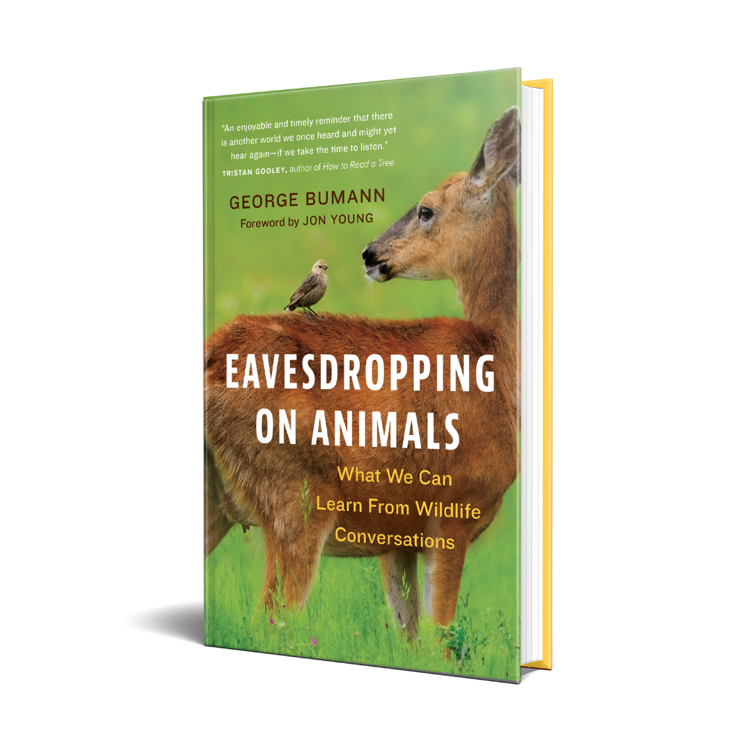 Eavesdropping on Animals: What We Can Learn From Wildlife Conversation ...